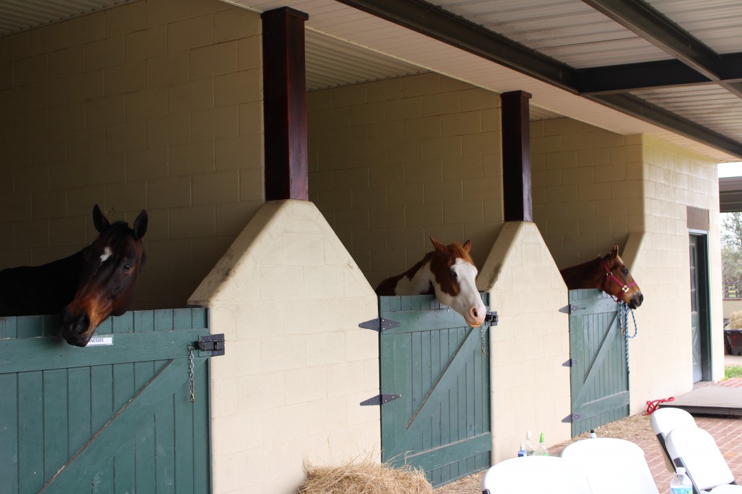 Foundation Takes LEO Training to Louisiana | The JAYC Foundation